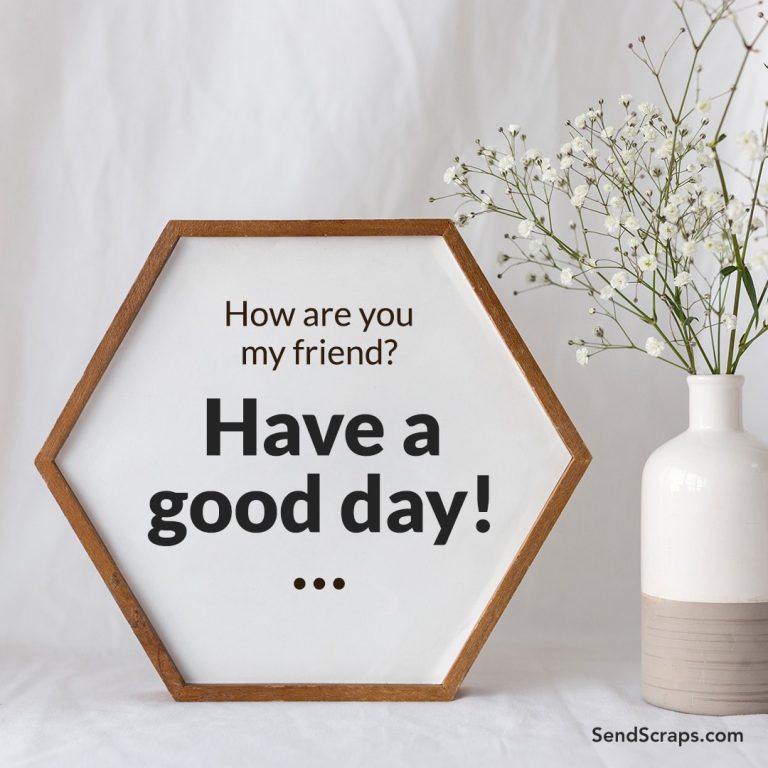 50 How Are You Messages and Images - Send Scraps